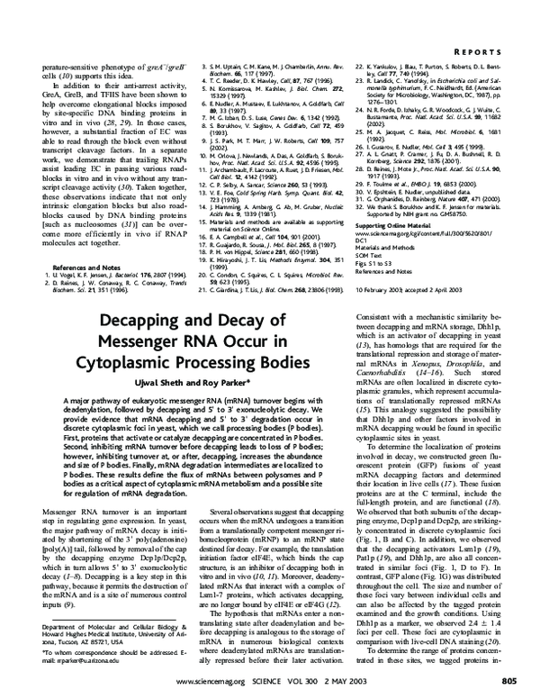 (PDF) Decapping and Decay of Messenger RNA Occur in Cytoplasmic ...