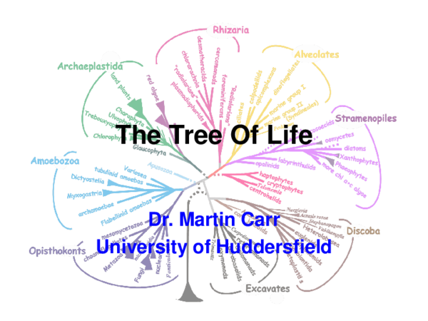 (PPT) The Tree of Life