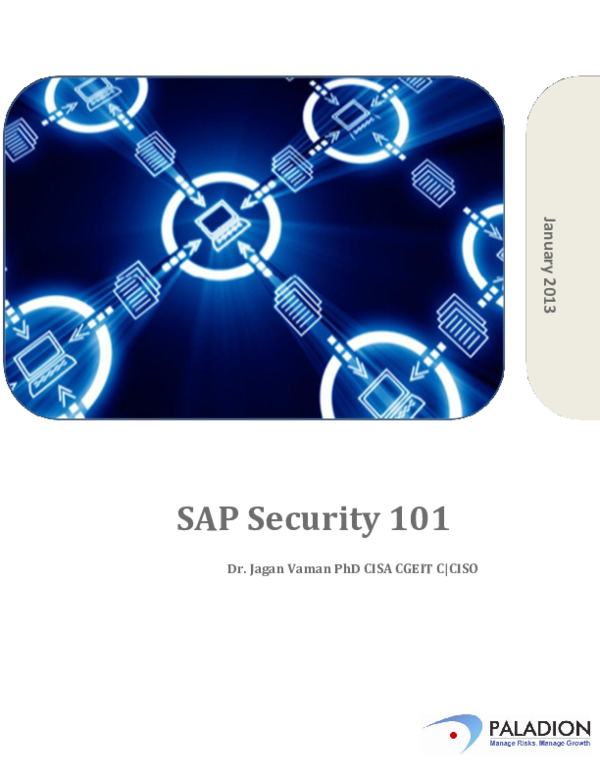 (PDF) SAP Security 101