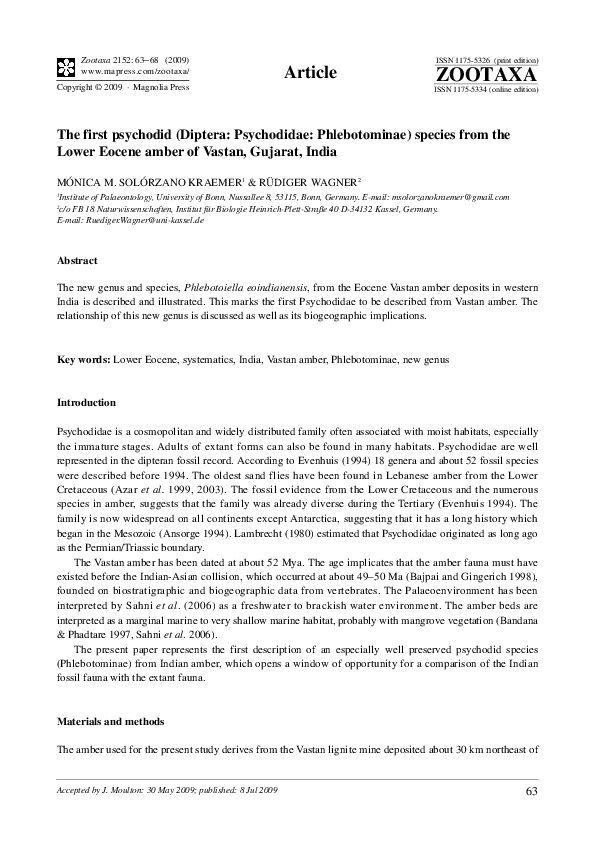 (PDF) Webspinners in Early Eocene amber from western India (Insecta ...