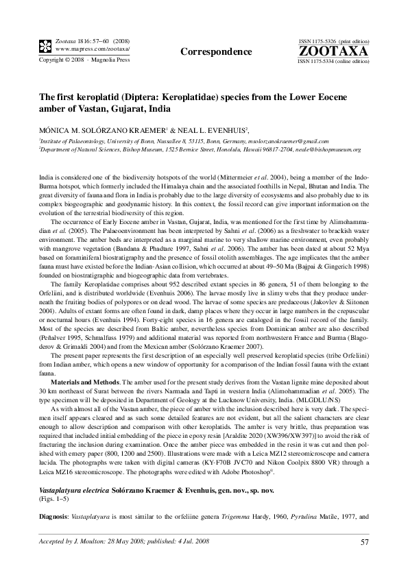 (PDF) Webspinners in Early Eocene amber from western India (Insecta ...