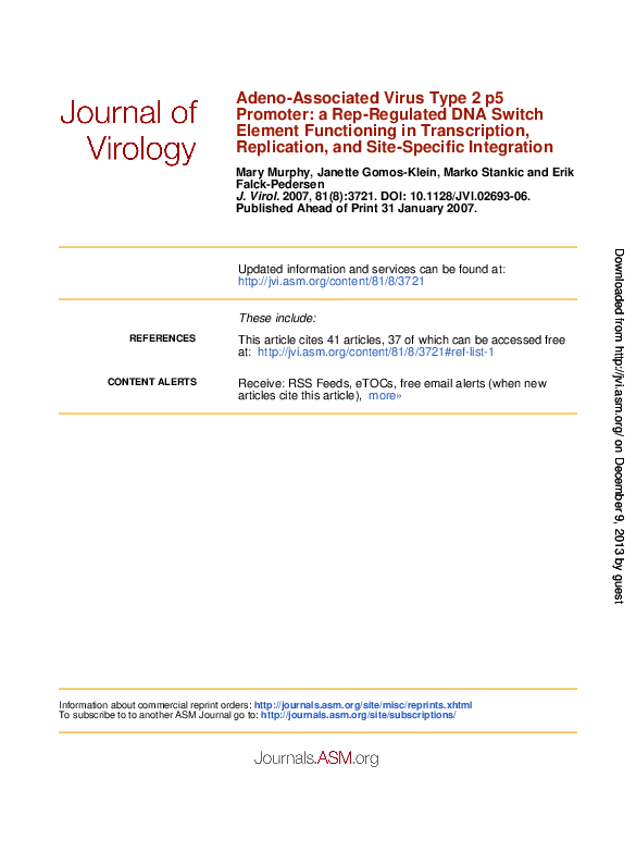 (PDF) Adeno-Associated Virus Type 2 p5 Promoter: a Rep-Regulated DNA ...