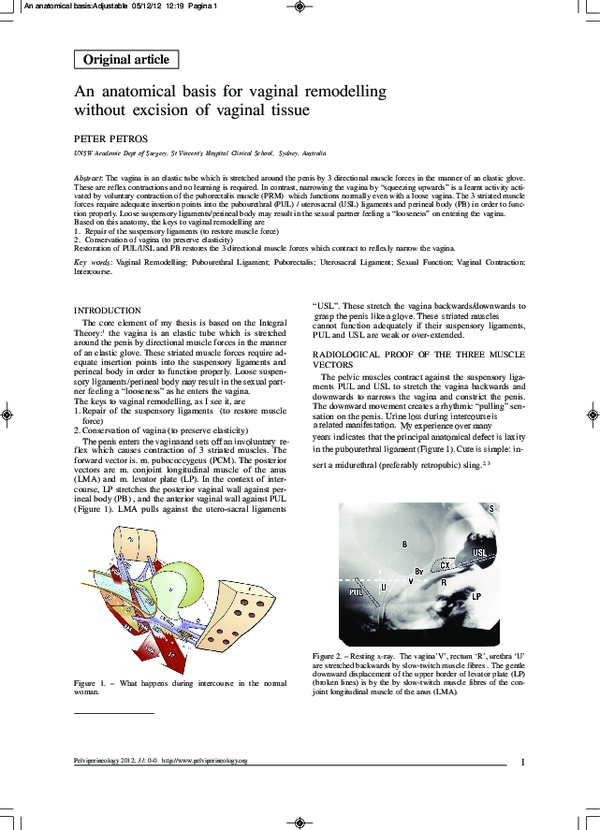 (PDF) An anatomical basis for vaginal remodelling without excision of ...