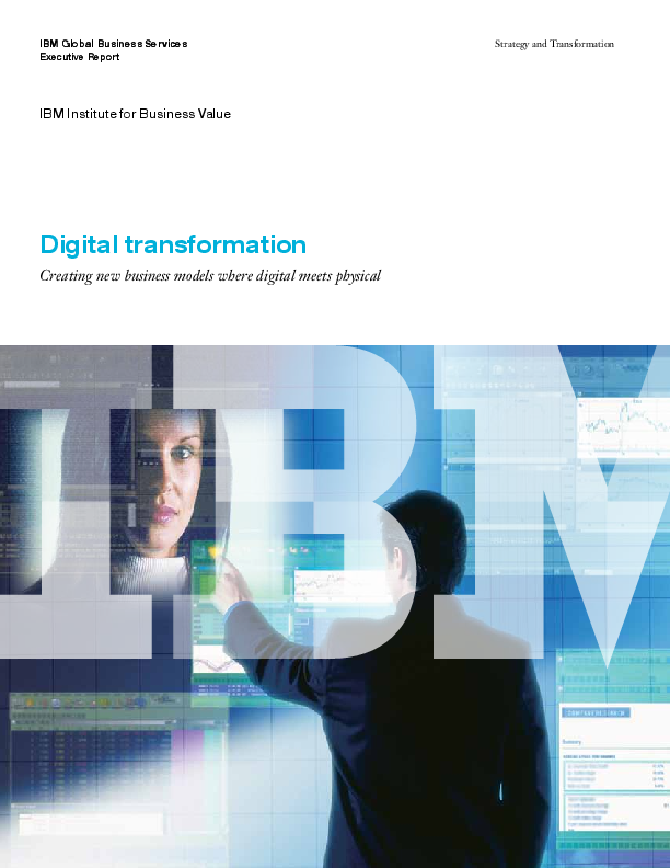 (PDF) IBM Global Business Services Executive Report IBM Institute for ...