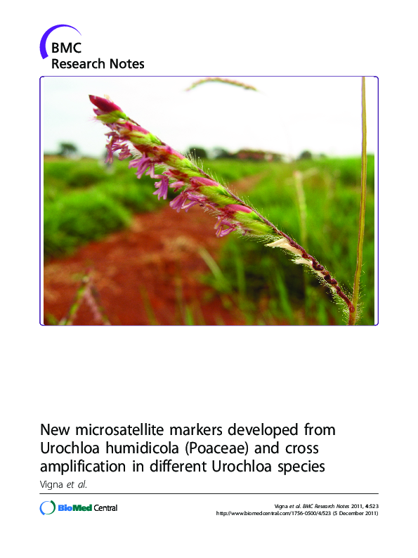 (PDF) New microsatellite markers developed from Urochloa humidicola ...