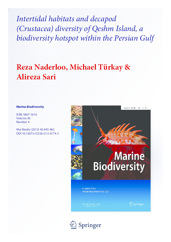(PDF) Intertidal habitats and decapod (Crustacea) diversity of Qeshm ...