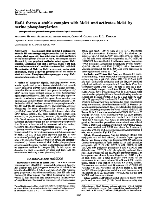 (PDF) Raf-1 Forms a Stable Complex With Mek1 and Activates Mek1 by ...