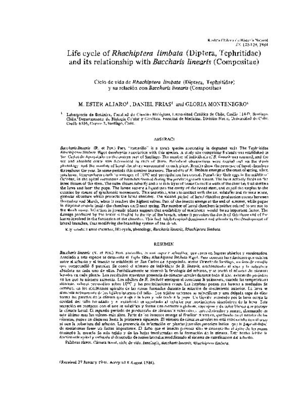 (PDF) Life Cycle of Rachiptera Limbata (Diptera: Tephritidae) and Its ...