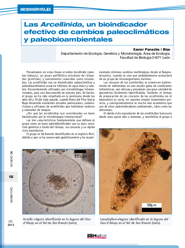 (PDF) Las Arcellinida, un bioindicador efectivo de cambios ...
