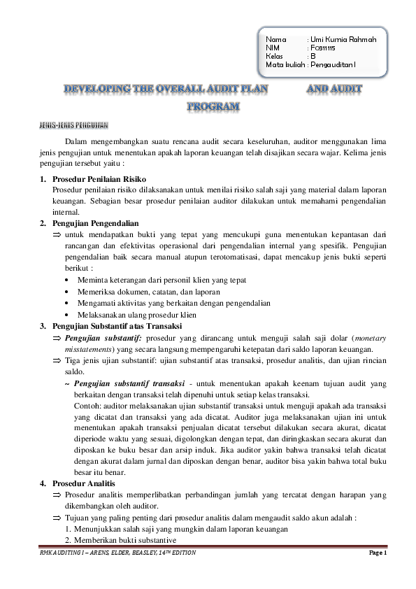 (DOC) 10. DEVELOPING THE OVERALL AUDIT PLAN AND AUDIT PROGRAM