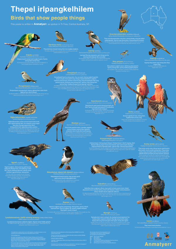 (PDF) Things that birds tell you (Anmatyerr)
