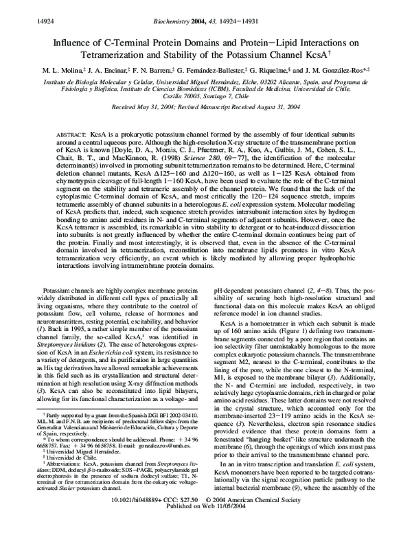 (PDF) Unfolding and Refolding in Vitro of a Tetrameric, α-Helical ...