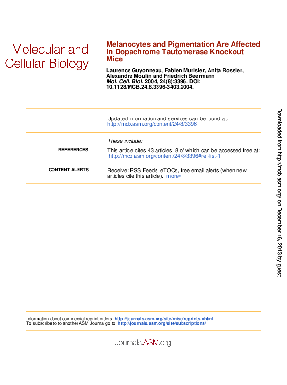 (PDF) Melanocytes and Pigmentation Are Affected in Dopachrome ...