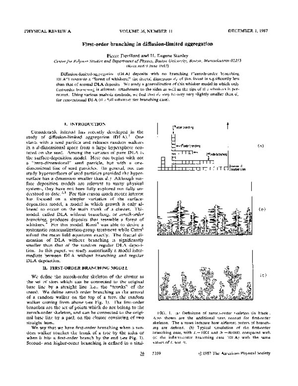 (PDF) First-order branching in diffusion-limited aggregation