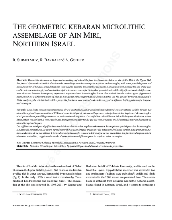 (PDF) The Geometric Kebaran microlithic assemblage from Ain Miri ...