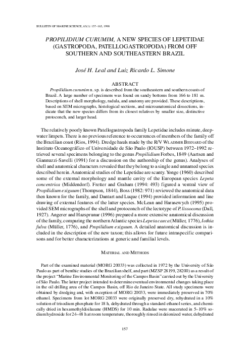 (PDF) Propilidium curumim, a new species of Lepetidae (Gastropoda ...