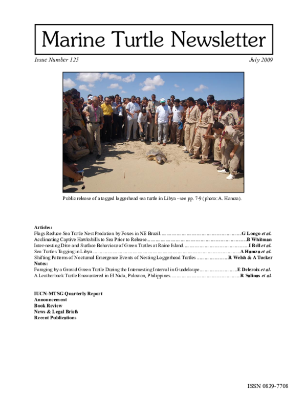 (PDF) Sea Turtles Tagging in Libya