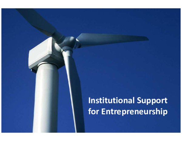 (PDF) Institutional Support