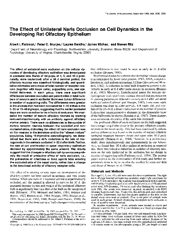 (PDF) The Effect of Unilateral Naris Occlusion on Cell Dynamics in the ...