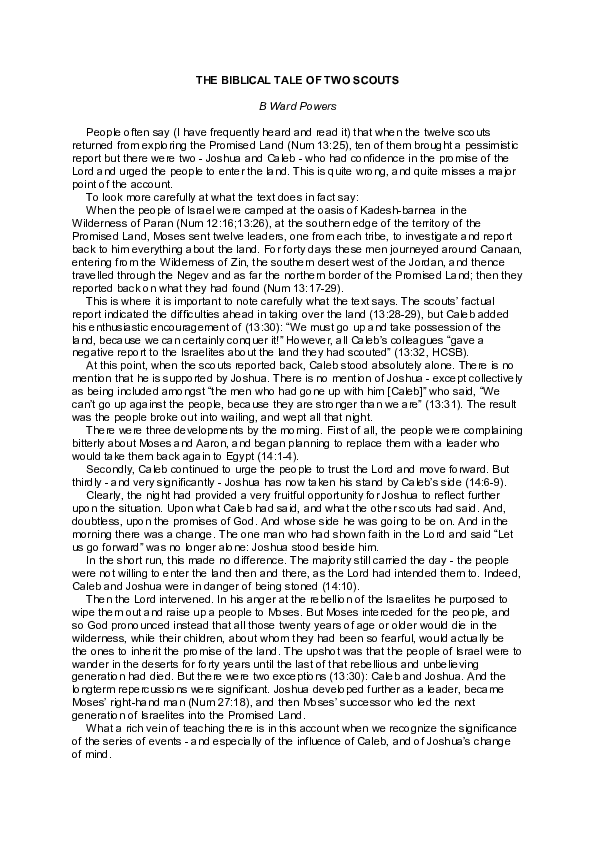 (PDF) The Scout in the Promised Land