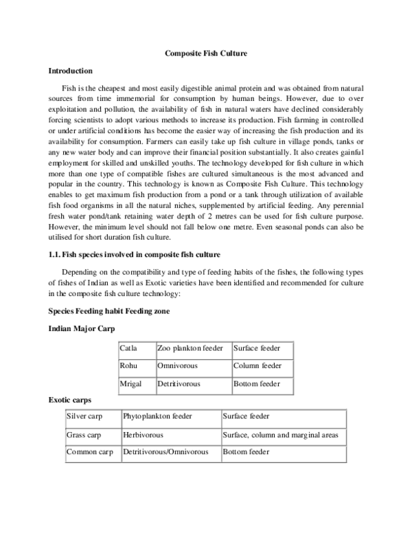 (PDF) Model bankable project