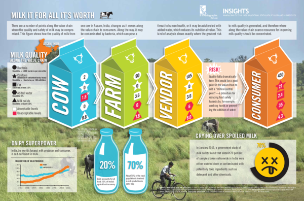 (PDF) Dairy cow infographic