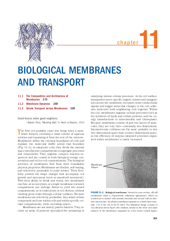(PDF) Biological membrane and transport
