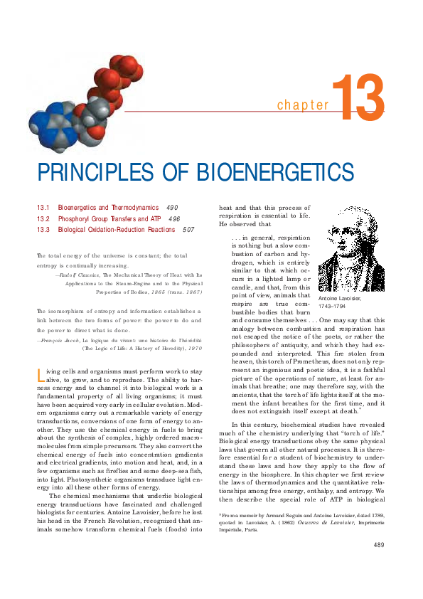 (PDF) PRINCIPLES OF BIOENERGETICS