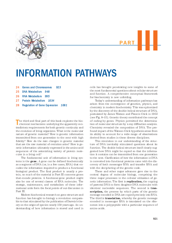(PDF) INFORMATION PATHWAYS