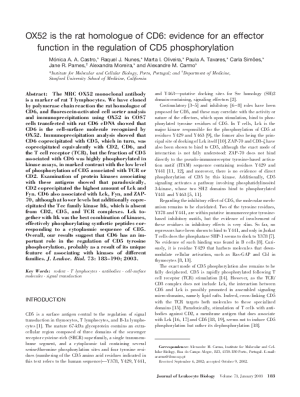 (PDF) OX52 is the rat homologue of CD6: evidence for an effector ...