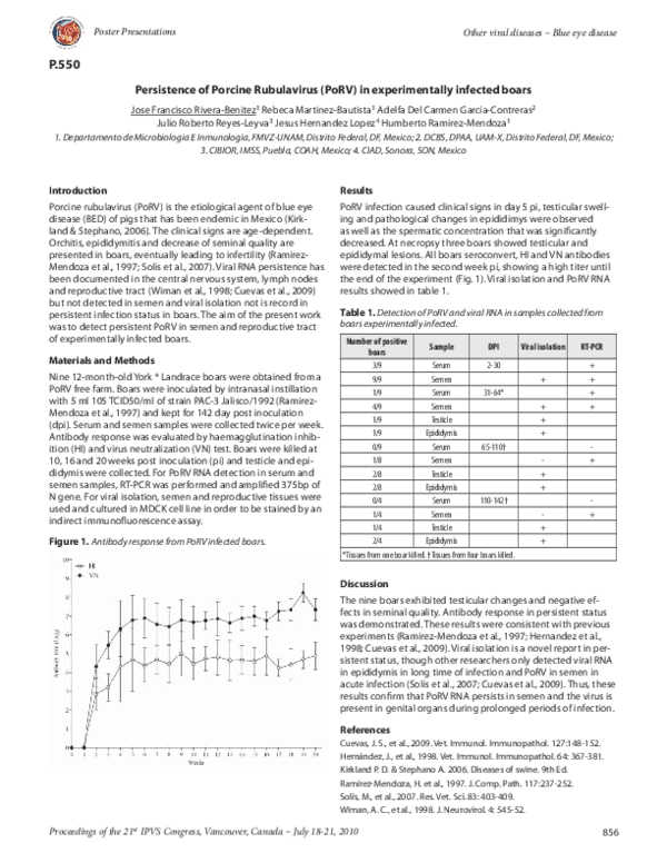 (PDF) Ipvs persistence