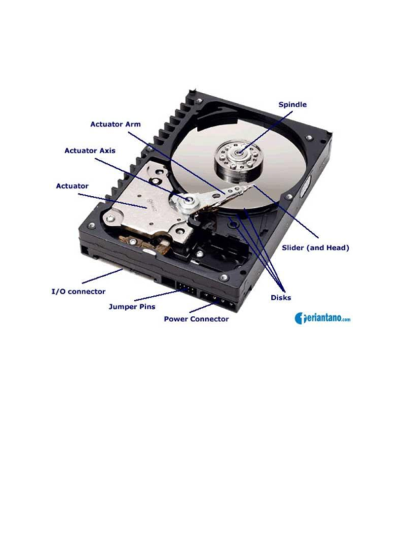 (DOC) Hard Disk