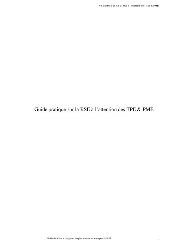 (PDF) Petit Guide pratique sur la RSE l