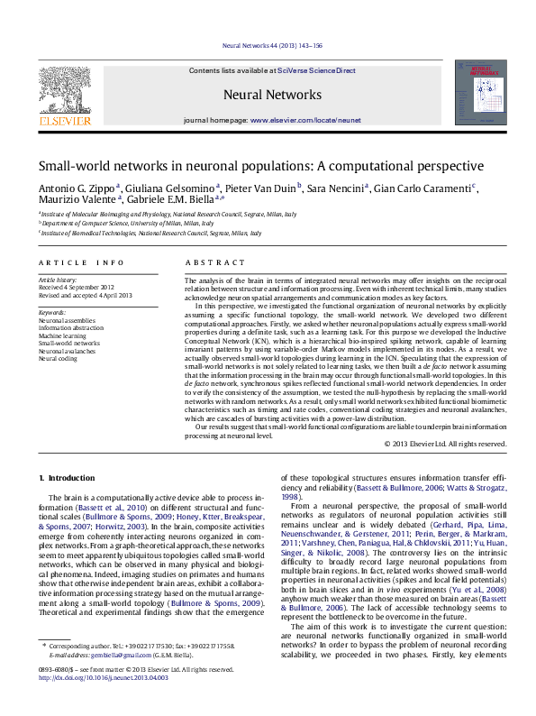 Pdf Small World Networks In Neuronal Populations A Computational