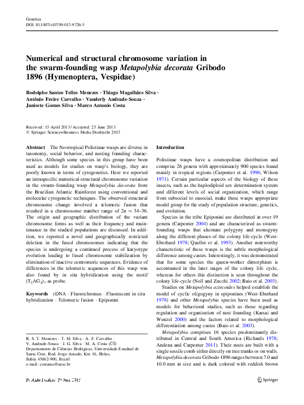 Numerical and structural chromosome variation in the swarm-founding ...