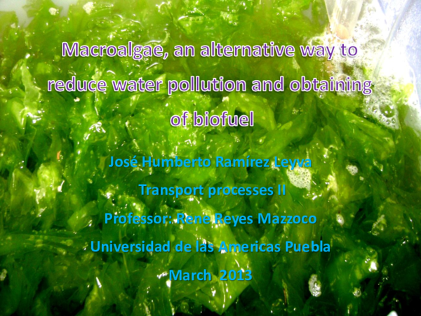 (PPT) Algae presentation