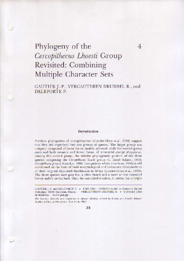 (PDF) Phylogeny of the Cercopithecus lhoesti Group Revisited: Combining ...