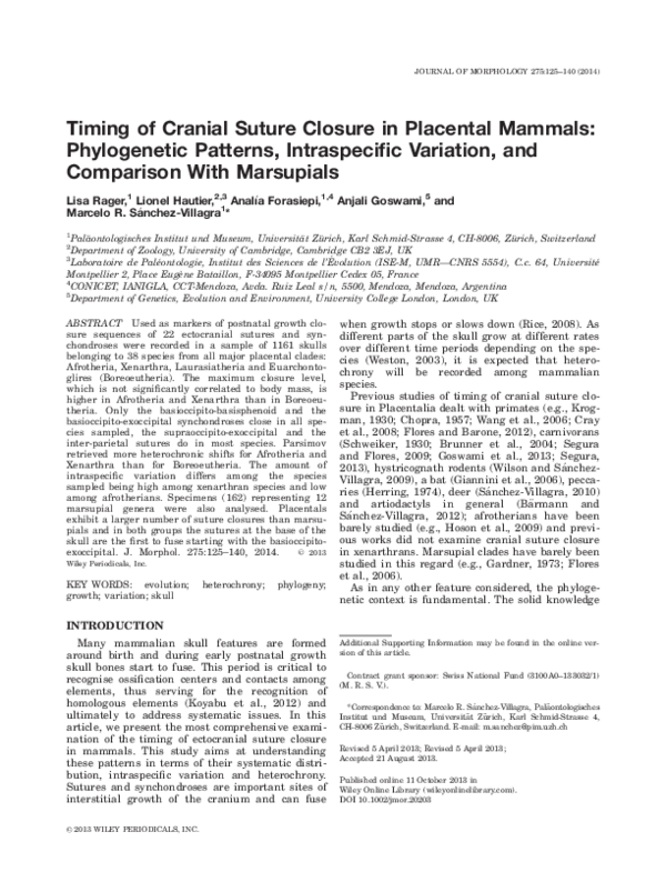 (PDF) Timing of cranial suture closure in placental mammals ...