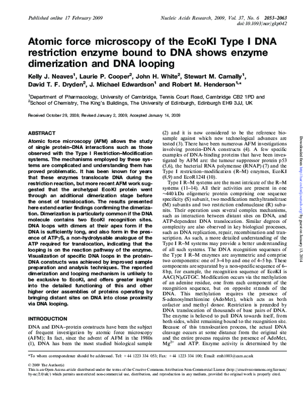 (PDF) Direct Visualization of the EcoRII−DNA Triple Synaptic Complex by ...