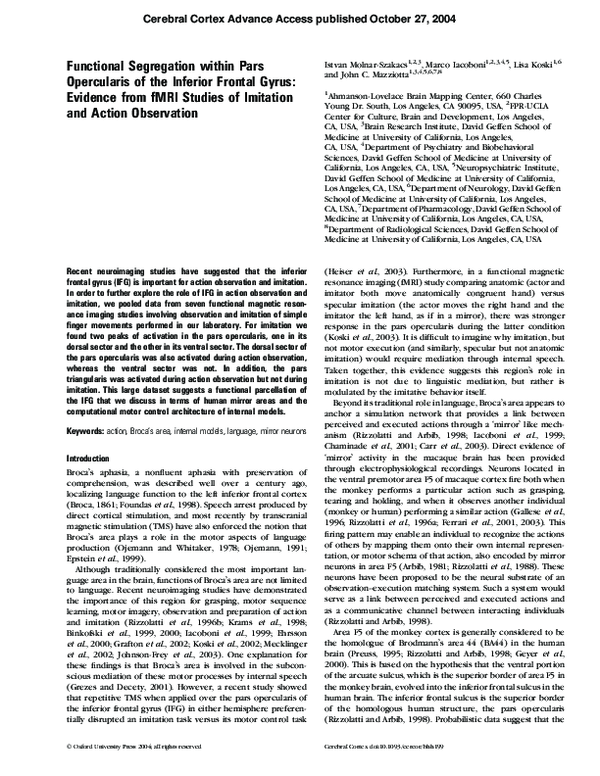 Pdf Functional Segregation Within Pars Opercularis Of The Inferior
