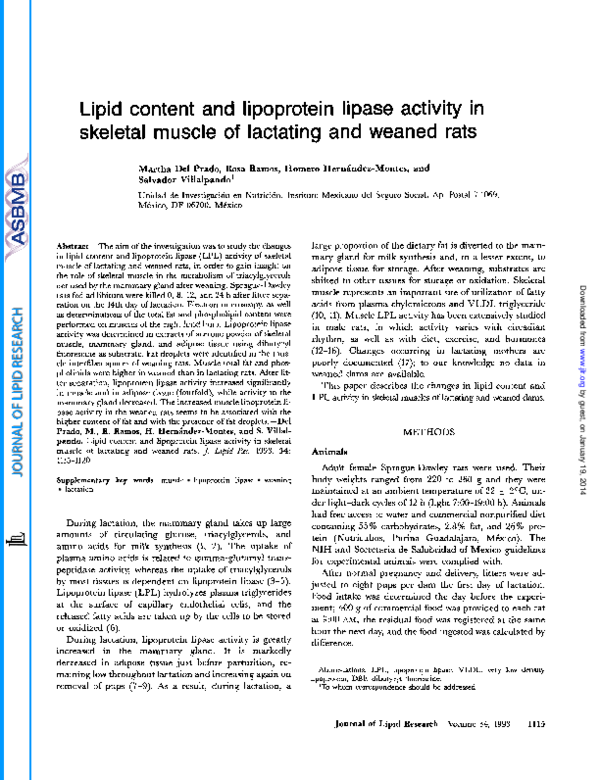 (PDF) Lipid content and lipoprotein lipase activity in skeletal muscle ...