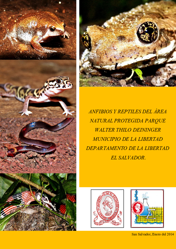 (PDF) Amphibians and Reptiles the Protected Natural Area Park Walter ...