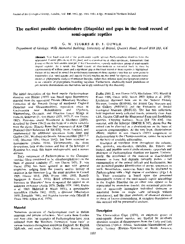(PDF) The earliest possible choristodere (Diapsida) and gaps in the ...