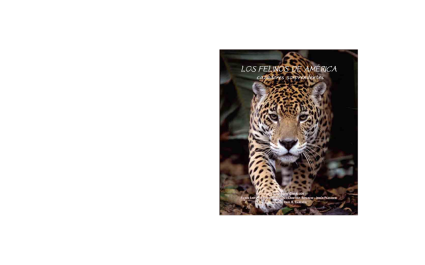Pdf Los Felinos De AmÉrica Cazadores Sorprendentes Gerardo Ceballos