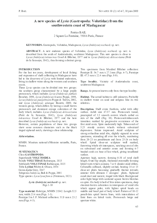 (PDF) A new species of Lyria (Gastropoda: Volutidae) from the ...