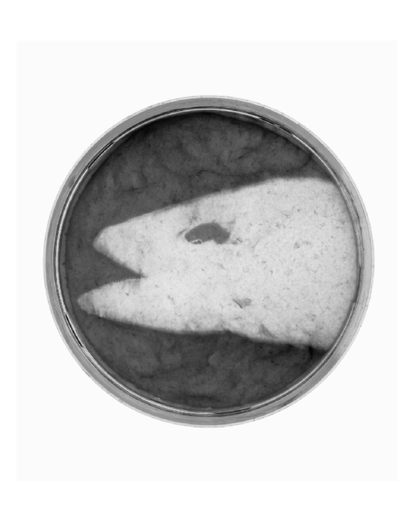 (PDF) Edgar Lissel: The Return of Images: Photographic Inquiries into ...