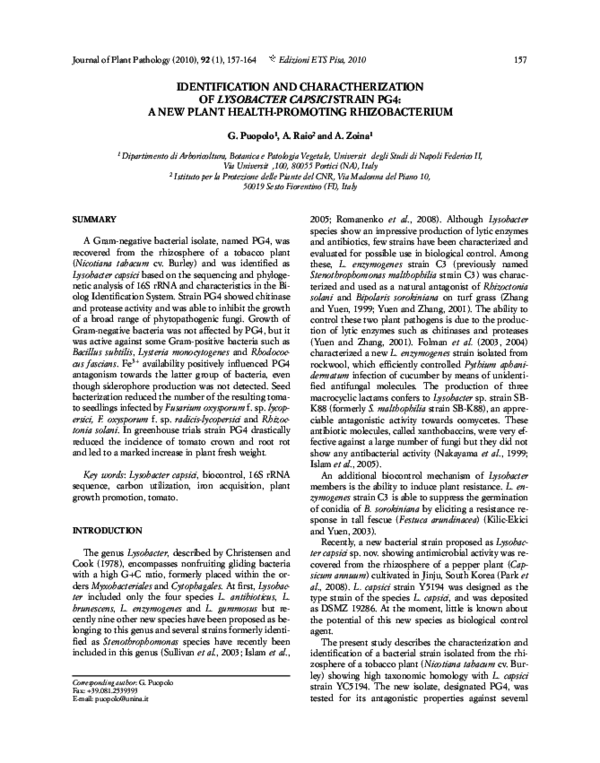 (PDF) Identification and characterization of Lysobacter capsici strain ...