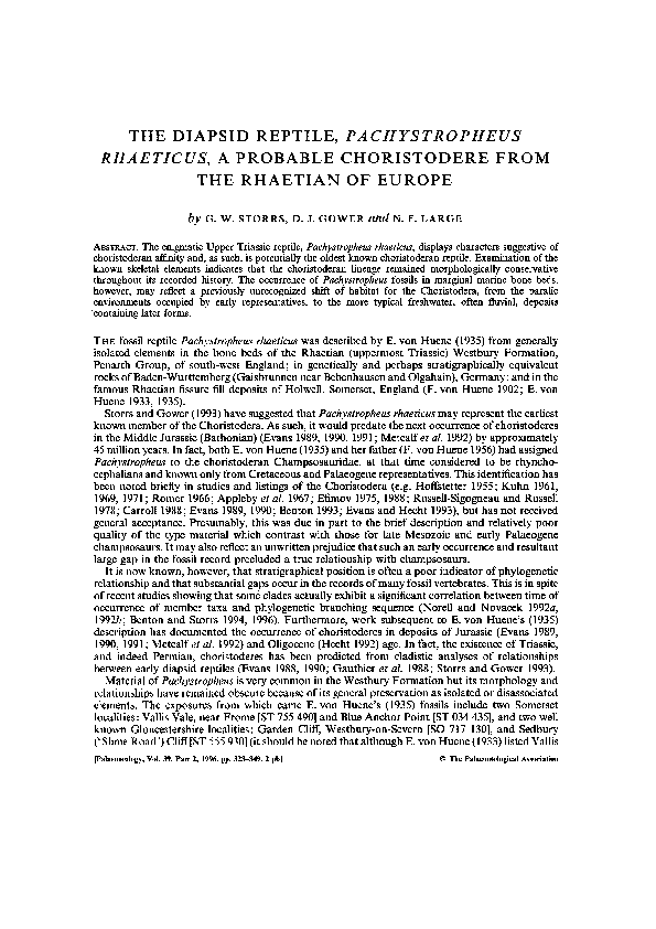 (PDF) The diapsid reptile, Pachystropheus rhaeticus, a probable ...