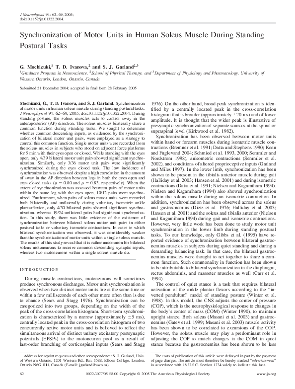 (PDF) Synchronization of Motor Units in Human Soleus Muscle During ...