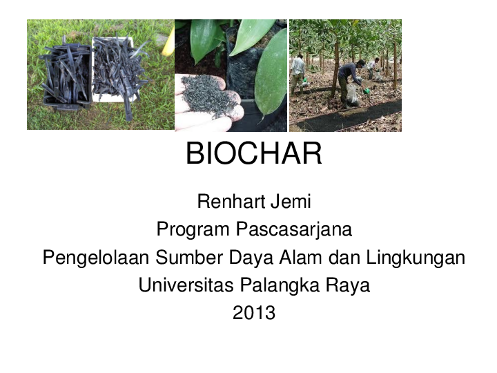 (PDF) Biochar
